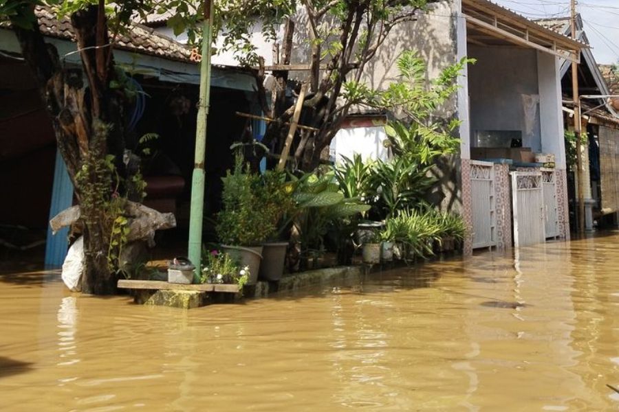 Banjir Bengawan Solo Rendam Ratusan Rumah di Gresik Utara, Warga Dievakuasi