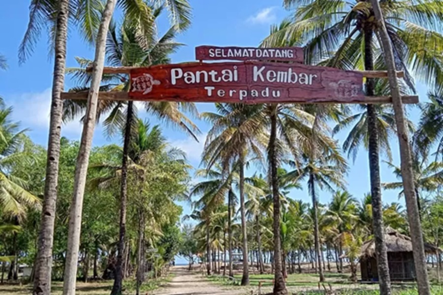 Menikmati Pesona Pantai Kembar Kebumen, Rekreasi dan Wisata Edukasi Penyu