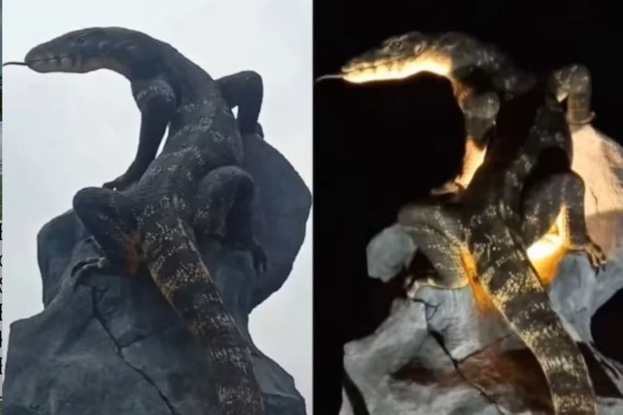 Patung Biawak Super Realistis di Wonosobo Viral, Cuma Rp50 Juta Tapi Kualitasnya Bikin Kagum