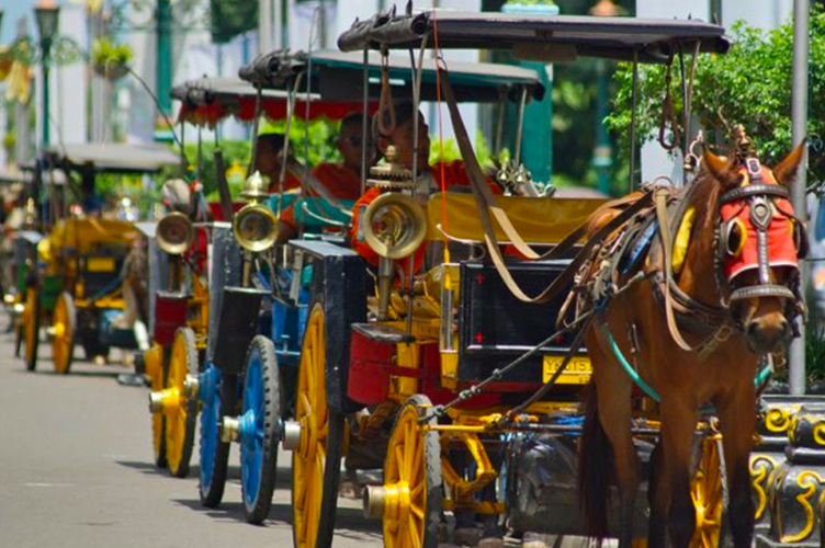 Berapa Harga Naik Andong di Malioboro? Ini Kisaran Tarifnya dan Rute ...